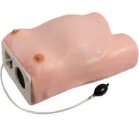 China Hospital PVC Maternity Examination Gynecologic Simulator for sale