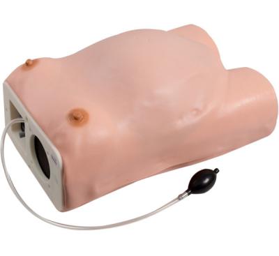 China Hospital PVC Maternity Examination Gynecologic Simulator for sale