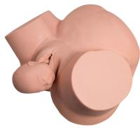 China Soft PVC Vacuum Childbirth Simulator for Medical Training 1 Year Warranty for sale