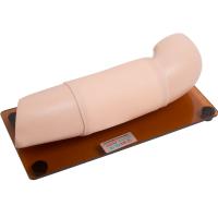 China PVC Subcutaneous Embedded Contraception Arm Simulator OEM ISO 9001 2015 for sale
