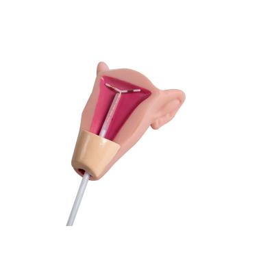 China IUD Training Simulator for Gynecologic Insertion Placement with Transparent Cover for sale
