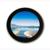 China 5 Inch Round TFT Display 1080x1080 Circle Display With Captouch Screen for sale