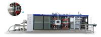 China Pet Fruit Box 850mm Blister Forming Machine Fully Automatic Negative Pressure for sale