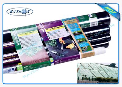 China Degradable Friendly Heavy Duty Weed Control Fabric Roll Black Agriculture Non Woven Cover for sale