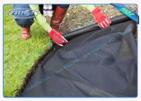 China Environmental Black Weed Control Fabric For Vegetable Garden Agriculture Non Woven Cover for sale