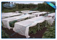 China Anti UV PP Spunbond Non Woven Landscape Fabric For Agriculture Plant Cover for sale