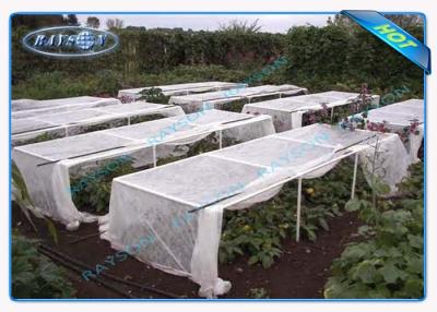 China Anti UV PP Spunbond Non Woven Landscape Fabric For Agriculture Plant Cover for sale