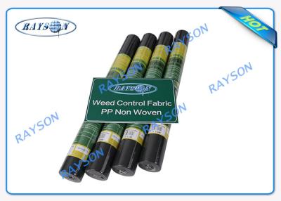 China Water Permeable Agriculture Non Woven Cover 70gsm With UV Treated for sale