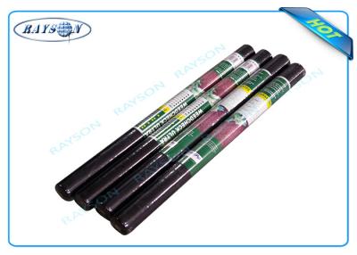 China Polypropylene Non Woven FabricTnt  Elongation Spunbond In Roll for sale