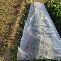 China Mulching Film Agriculture Nonwoven Fabric PP Spunbond For  Flowers Tomatos for sale