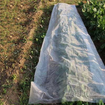 China Mulching Film Agriculture Nonwoven Fabric PP Spunbond For  Flowers Tomatos for sale