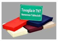 China Bordeaux Polypropylene Non Woven Disposable Dish Cloths 50gsm For Carteen Use for sale