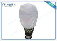 China PP Spunbond Agriculture Non Woven Cover Fabric Bag Material Nonwoven Fabric for sale