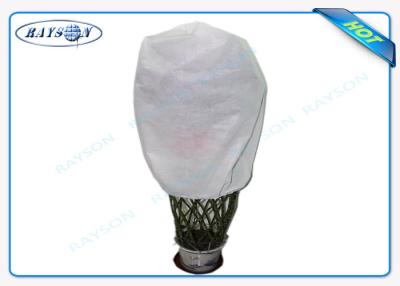 China PP Spunbond Agriculture Non Woven Cover Fabric Bag Material Nonwoven Fabric for sale