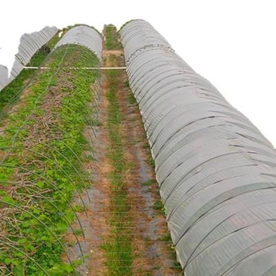 China 70gsm Sunshine Spunbond Agricultural Ground Cover Garden Non Woven Fabric for sale
