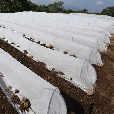 China Factory Price 4% UV Spunbond Nonwoven Micro Tunel In 17gr White Color for sale