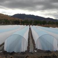 China Dyed Pattern Agriculture Non Woven Cover Virgin Spnbond Macro Tunel Width 6.4m for sale