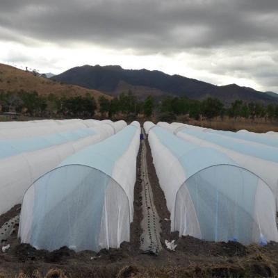 China Dyed Pattern Agriculture Non Woven Cover Virgin Spnbond Macro Tunel Width 6.4m for sale