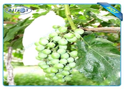 China OEM Disposable Nonwoven Fruit Protection Bag For Grape Size 20 cm 22cm for sale