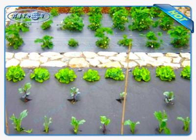 China Eco-Friendly 30gsm Black Color Agriculture Non Woven Cover For Vegetables for sale