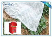 China Degradable Weed Control Mat Made from Black or White Anti-UV Agriculture Non Woven Cover for sale