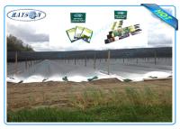 China Polypropylene Agriculture Non Woven Cover Garden Weed Landscape Fabric for sale