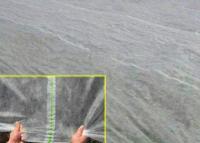 China Transparent Spunbond Non Woven Landscape Fabric for Agriculture Plant Cover for sale