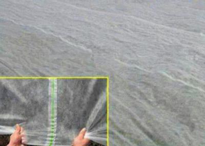China Transparent Spunbond Non Woven Landscape Fabric for Agriculture Plant Cover for sale