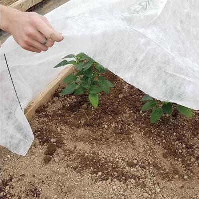 China Anti Frost Plant Cover Spun Bond Non Woven Fabric For Agriculture for sale