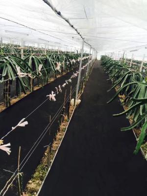 China Uv Treated Nonwoven Fabric Film Greenhouse Or Weed Control for sale