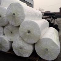 China Heavy Duty Spunbond Agricultural Non Woven Fabric 100% Polypropylene for sale