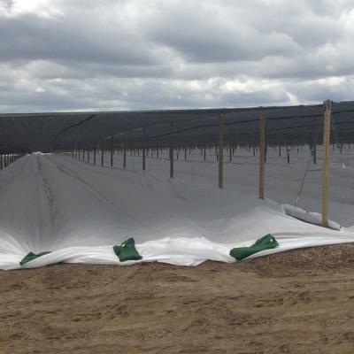 China 200gsm Spunbond Non Woven Fabric Agro Sheet Vegetable Freeze Protection For Outdoor Plant Cover for sale