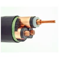 China Underground XLPE Power Cable 0.6/1kv - Direct Burial HDPE-Jacketed Cable for Grids & Solar Farms for sale