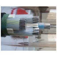 China Comprehensive XLPE Insulated Power Cable for Large Scale Utilities for sale