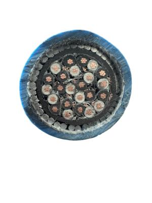 China Low Voltage High Performance Pair and Triple Cores XLPE Insulated Power Cable for Extreme Conditions Armored Instrumentation Cable Ia Cable for sale