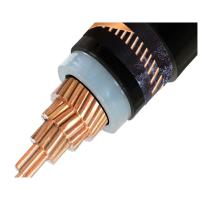 China Customizable XLPE Insulated Power Cable for Unique Requirements for sale