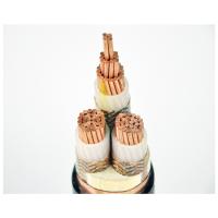 China Specialized XLPE Insulated Power Cable for Nuclear Power Plants for sale