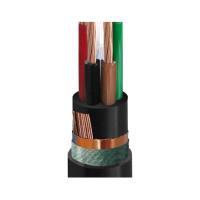 China Specialized XLPE Insulated Power Cable for Nuclear Power Plants for sale