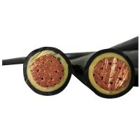 China Premium PVC Coated Copper Cables for Versatile Use for sale