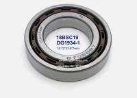 China DG1934-1 DG1934 18BSC19 auto steering bearings nylon cage deep groove ball bearings 18.72*33.8*7mm for sale