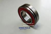 China 539860.R20.28 539860 auto wheel hub bearings double row angular contact ball bearings 30*55*15.5mm for sale