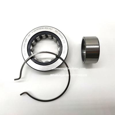 China F-604757.04.NU-BNS-HLC Nylon Cage Cylindrical Roller Bearings 28x31x72mm for sale