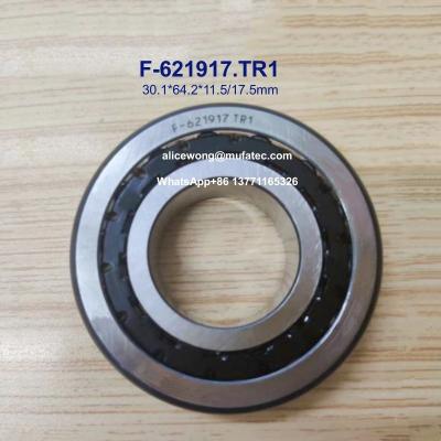 China F-621917.TR1 Automotive Bearings Taper Roller Bearings With Nylon Cage 30.1x64.2x11.5/17.5mm for sale