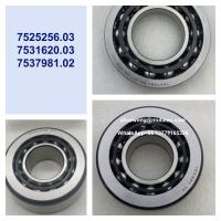 China 7525256.03, 7531620.03, 7537981.02 BMW Differential Bearing Kit AngularContact Ball Bearings for sale
