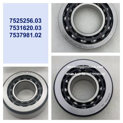 China 7525256.03, 7531620.03, 7537981.02 BMW Differential Bearing Kit AngularContact Ball Bearings for sale