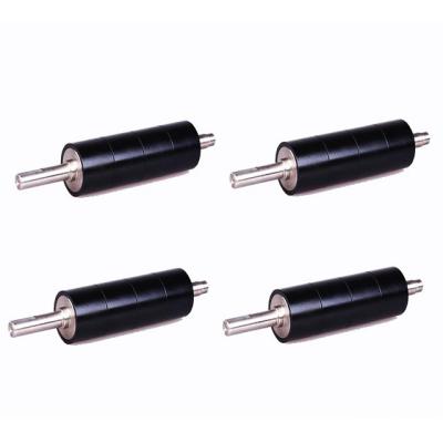 China High Speed Permanent Magnet Rotor Assembly NdFeB Magnetic Rotor Custom Magnetic Shaft for sale