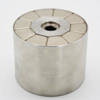 China Multipoles Custom Industrial Magnets Gear , NiCuNi 50d Ndfeb Magnetic Assembly for sale