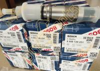 China 0445 120 231 Diesel Fuel Injector for sale