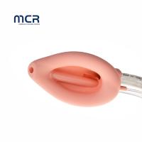 China Disposable Double Lumen Laryngeal Mask Airway Silicone LMA Sizes 1.0-5.0 for sale
