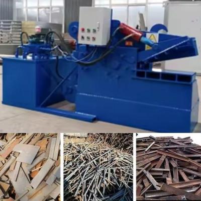 China Hydraulic Crocodile Shear Machine 200T Scrap Metal Frame Shear 800mm Blade for sale